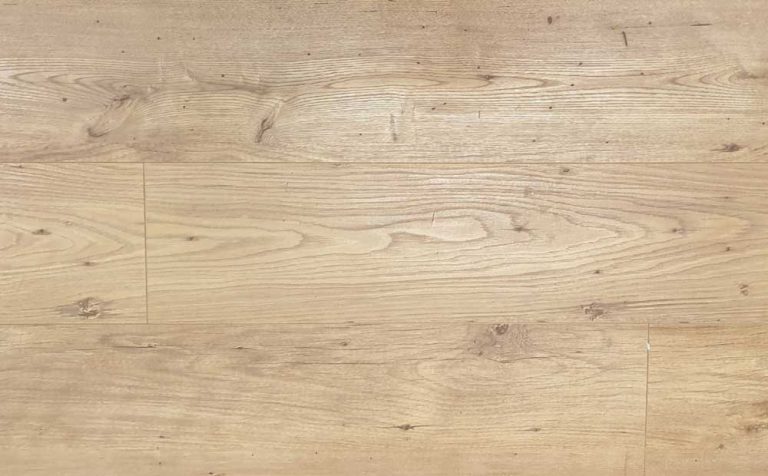 Lebanon Cedar